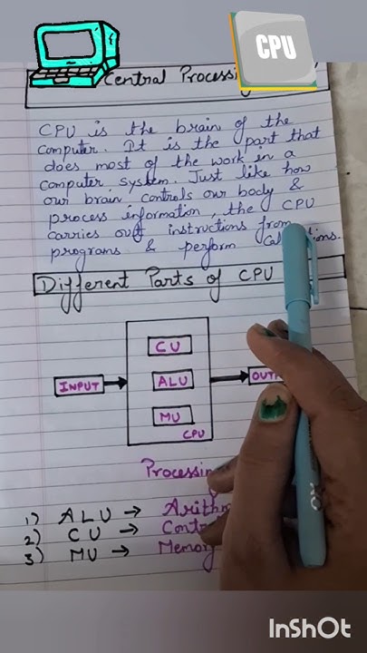 What is CPU? #computerscience #computer #computerknowledge #cpu #computereducation #computertips ...