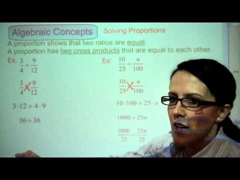 Algebraic Concepts - YouTube