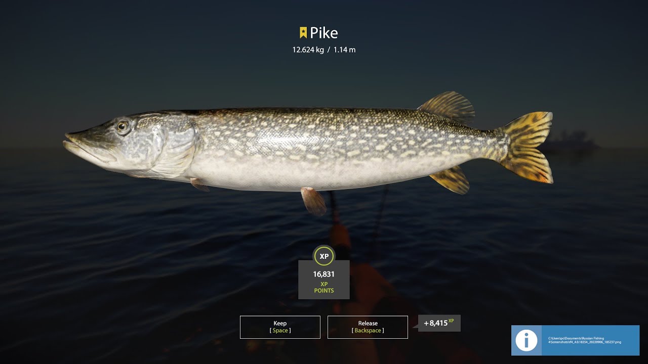 Russian fishing 4 Pike trophy ( Ladoga Archipelago ) - YouTube