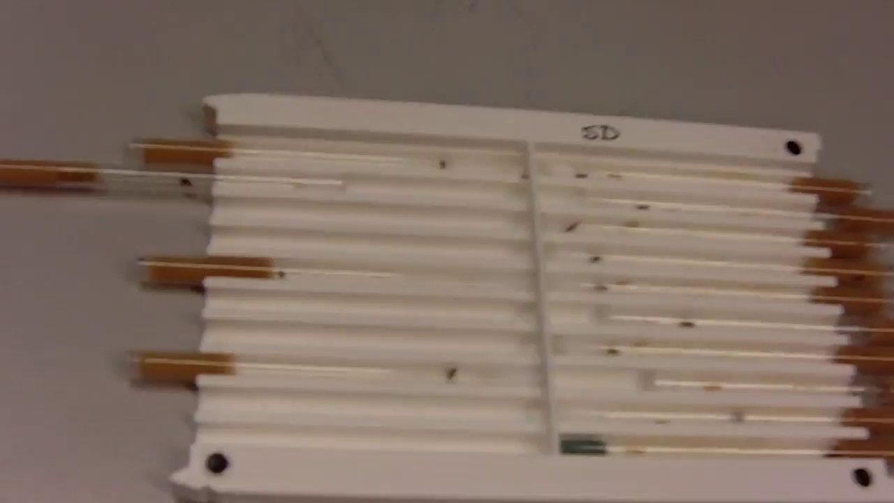 Ethoscopes: An open platform for high-throughput ethomics - YouTube