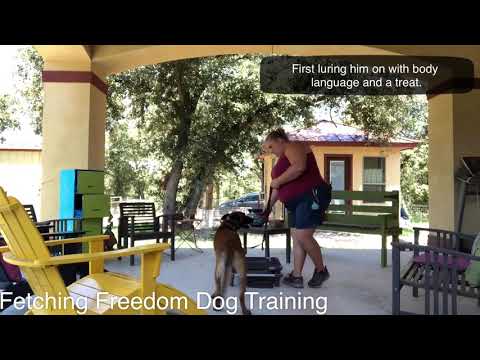 Crush 🐢 learns place!