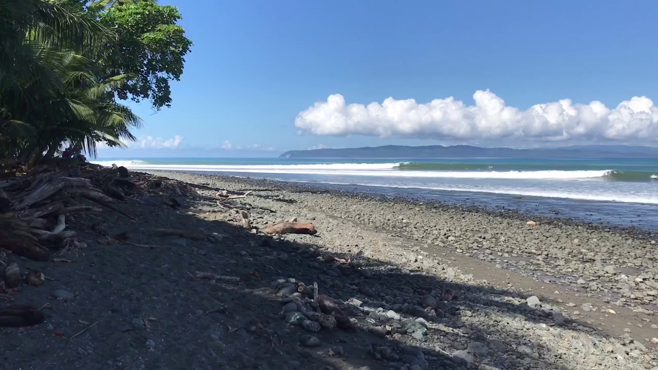 Pavones, Costa Rica Surf Report: January 31, 2020 - YouTube