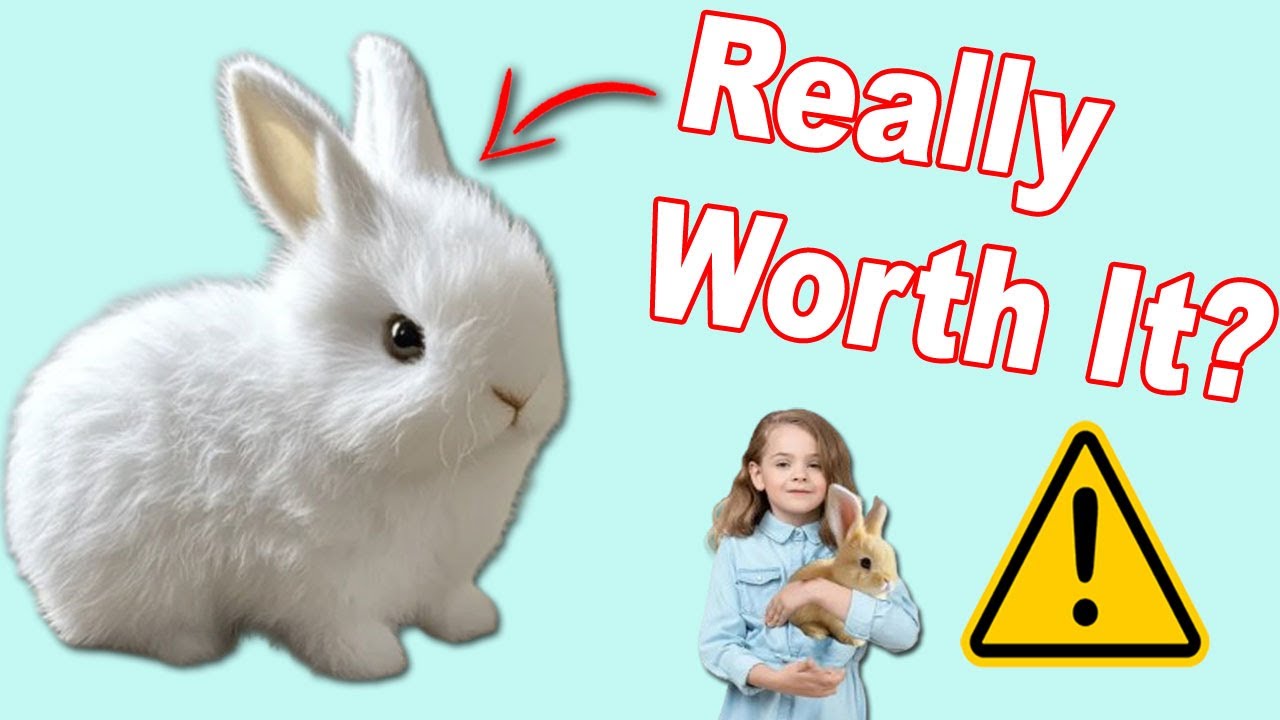 Bunby Realistic Bunny Toy Review - Worth it Or A Scam? - YouTube