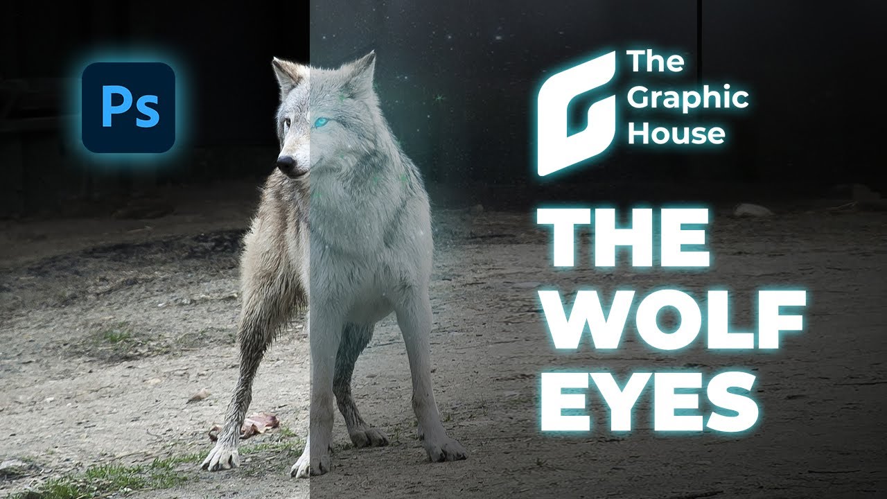 The Wolf Eyes - Photoshop fantasy photo cinematic - manipulation ...