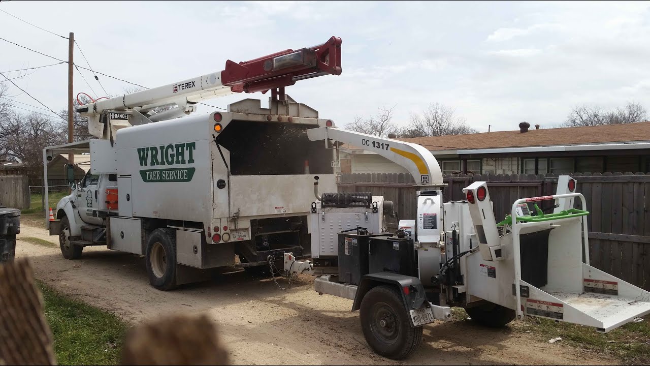 Tree Trimming - YouTube