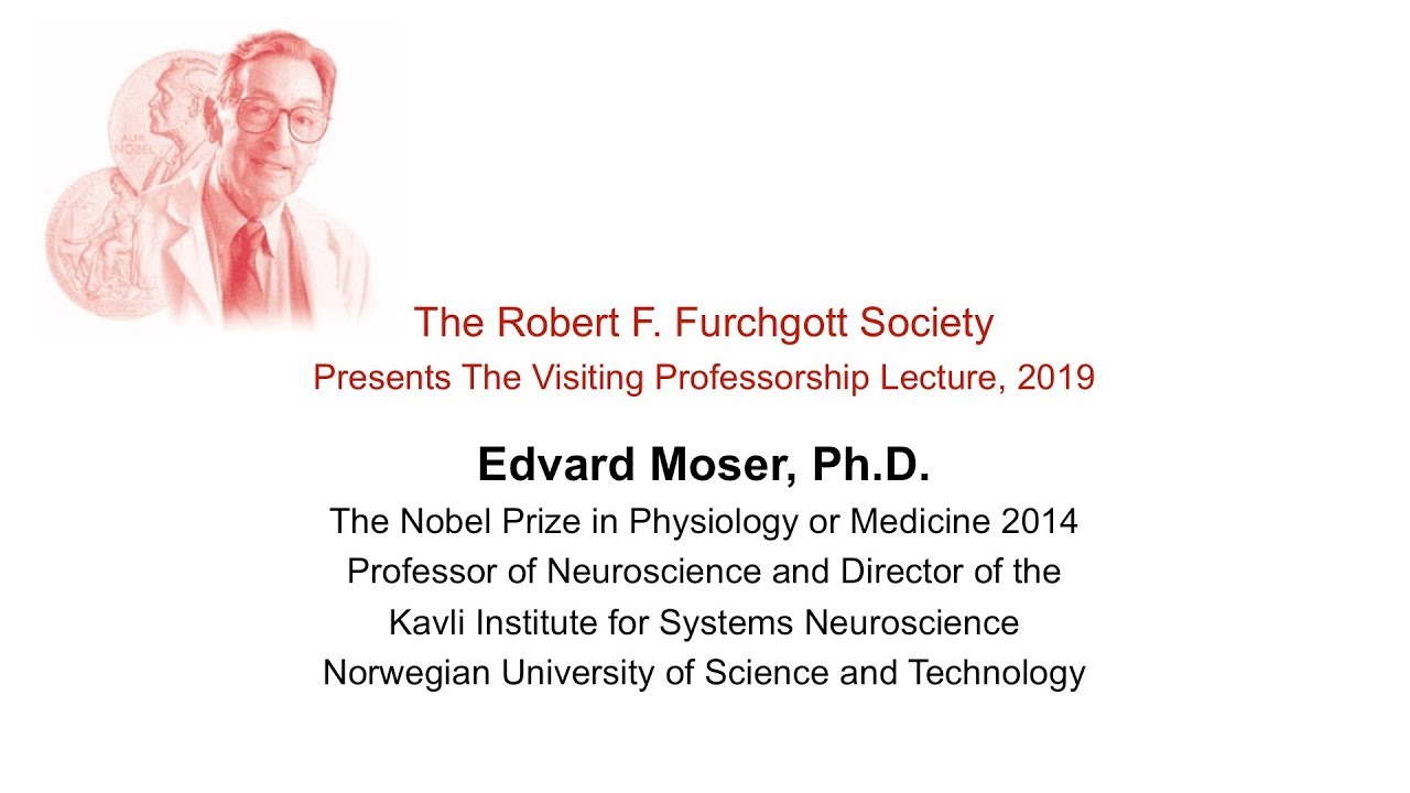 The Robert F. Furchgott Society 2019 Visiting Professorship Lecture ...