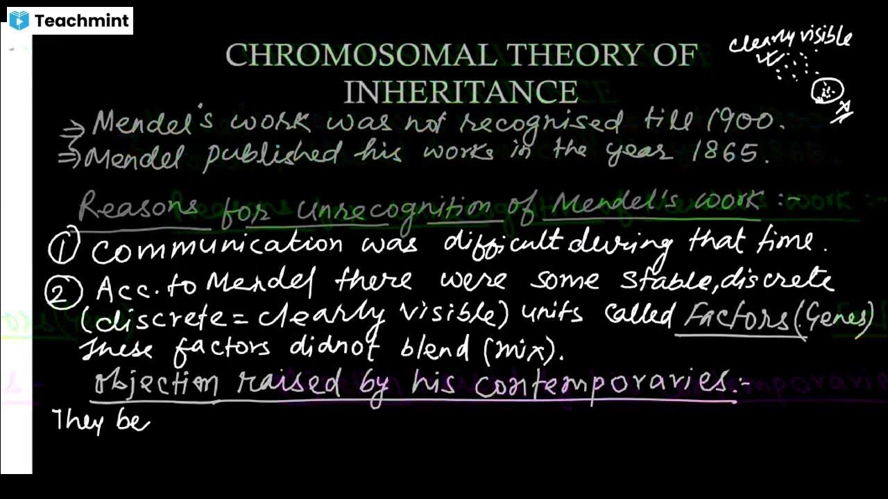 Principles of Inheritance Lec-8 | Chromosonal Theory of Inheritance ...
