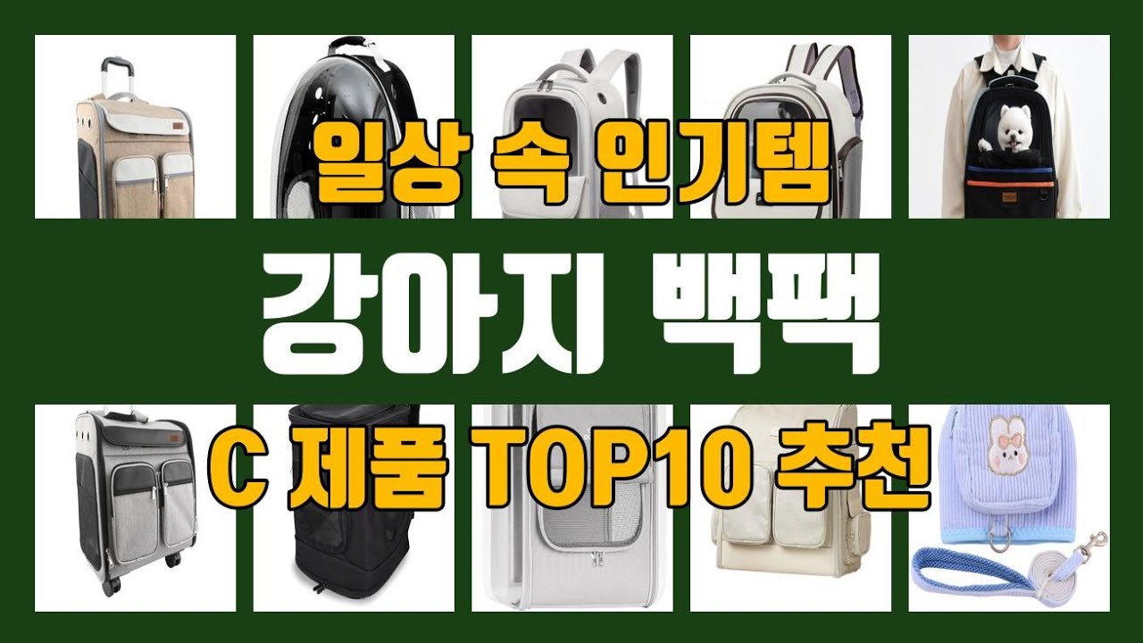 강아지 백팩 Top10 인기상품 가격정보 후기 Youtube