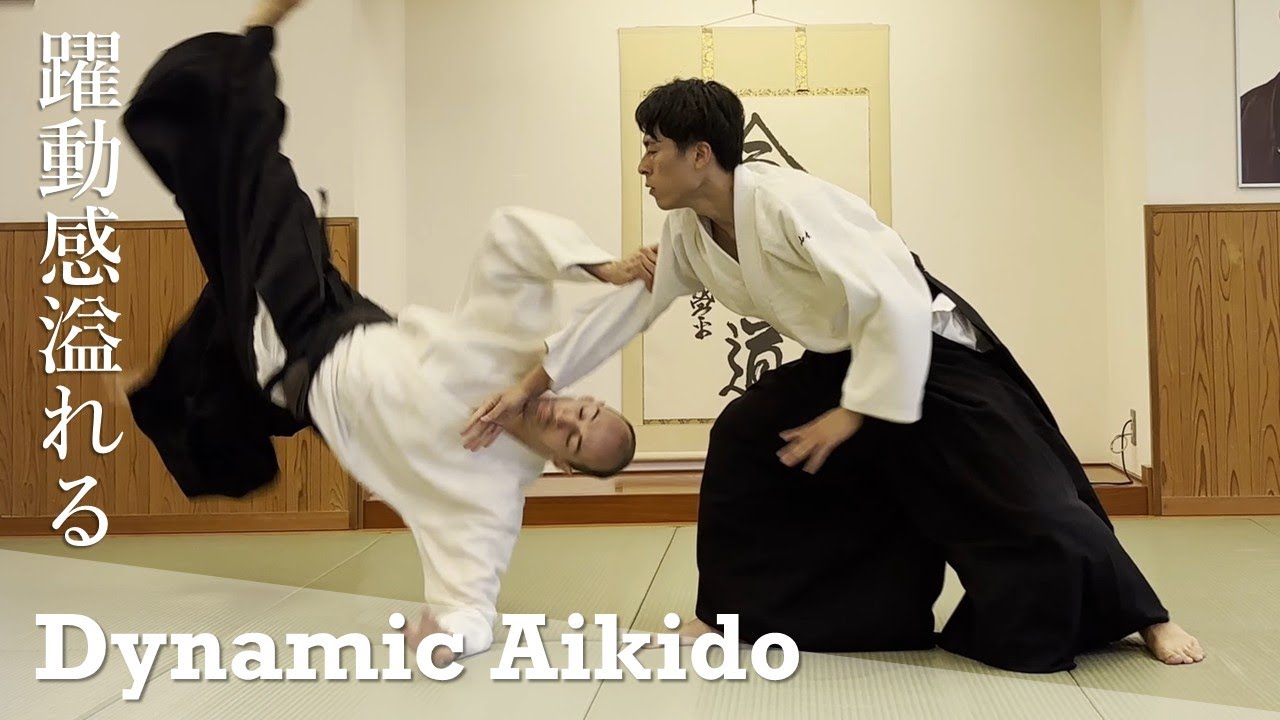Dynamic Aikido Techniques - Yamamoto Sojiro - YouTube