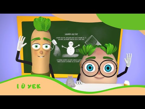 Zarok TV  -  1 Û YEK (BEŞ: 05)