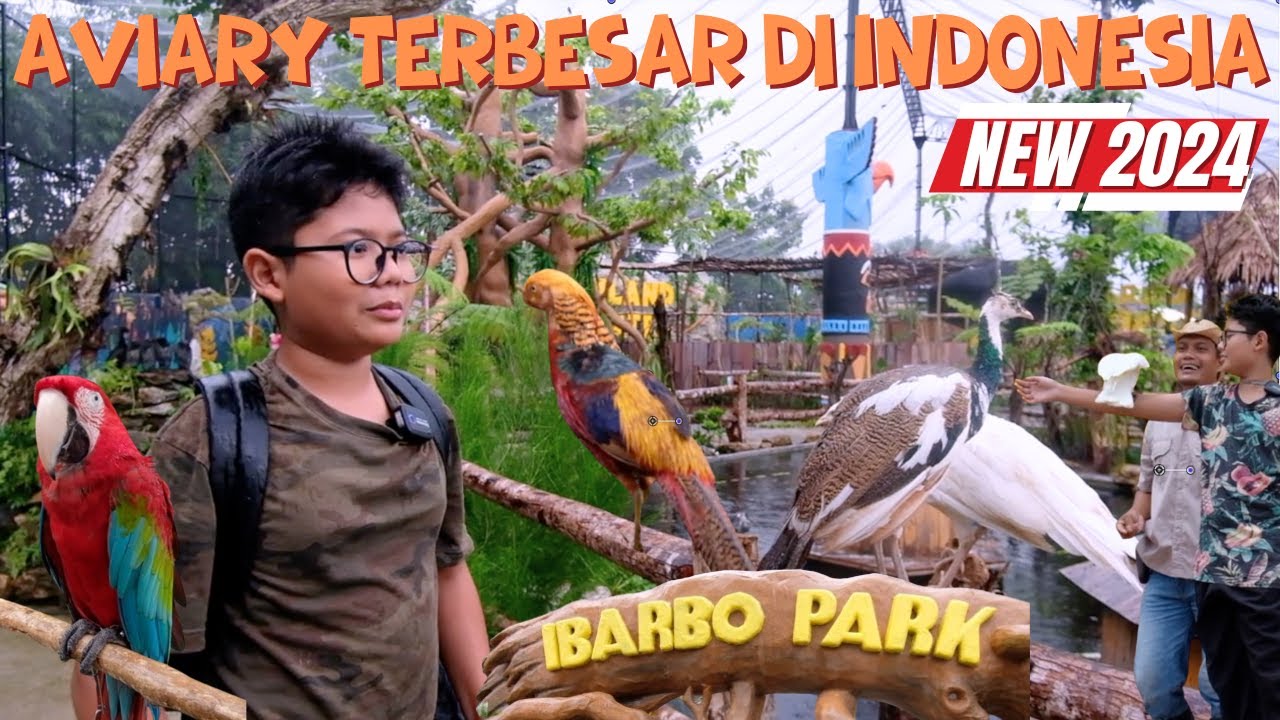 IBARBO PARK AVIARY TERBESAR DI INDONESIA 2024 YOGYAKARTA - YouTube