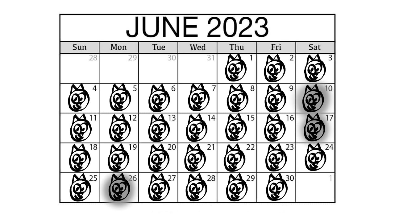 The Ryan Rai Month Announcement - YouTube