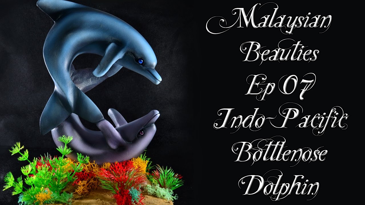 Malaysian Beauties Ep7 Indo Pacific Bottlenose Dolphin - YouTube
