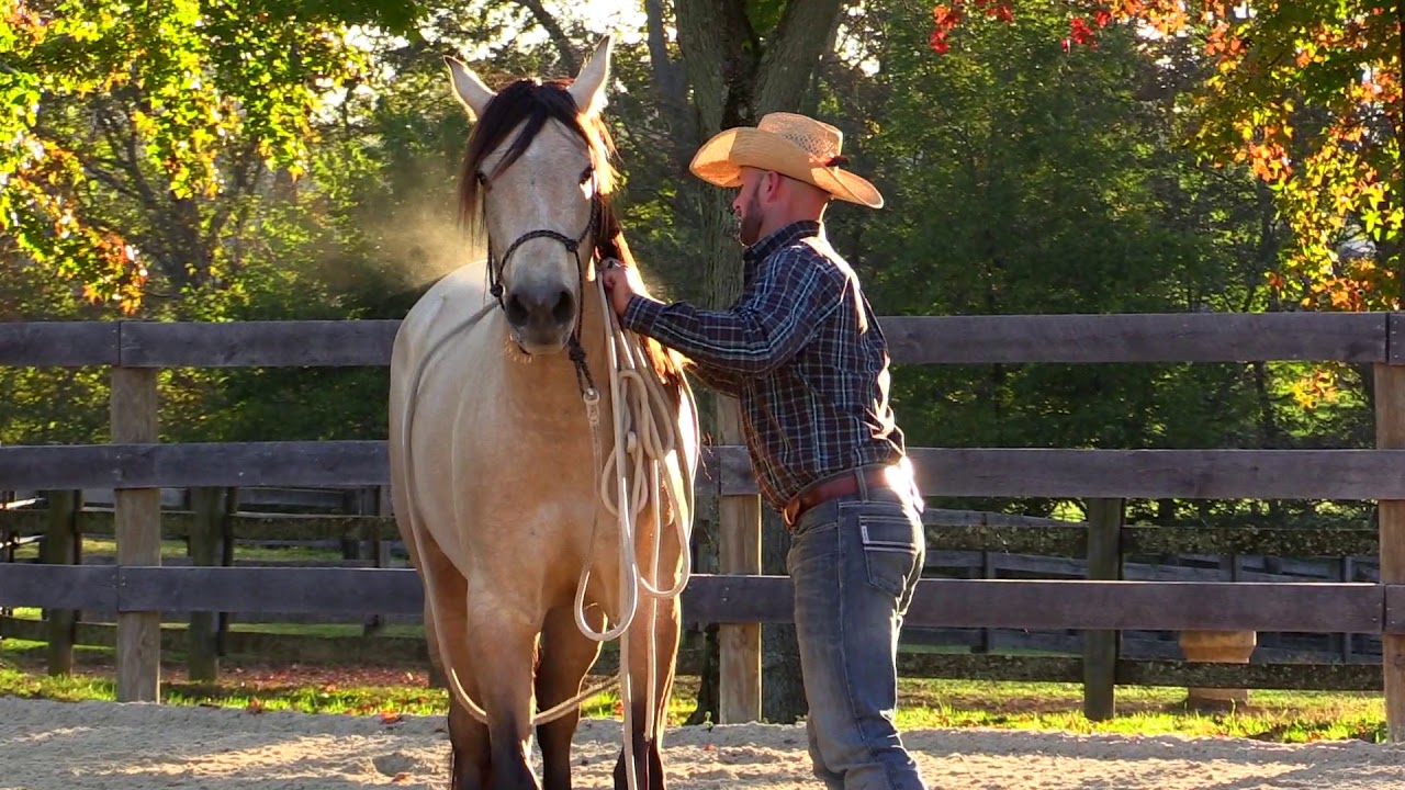 colt starting promo - YouTube