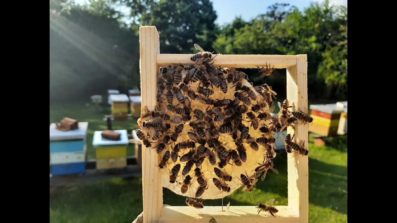 JUN MESEC! - YouTube