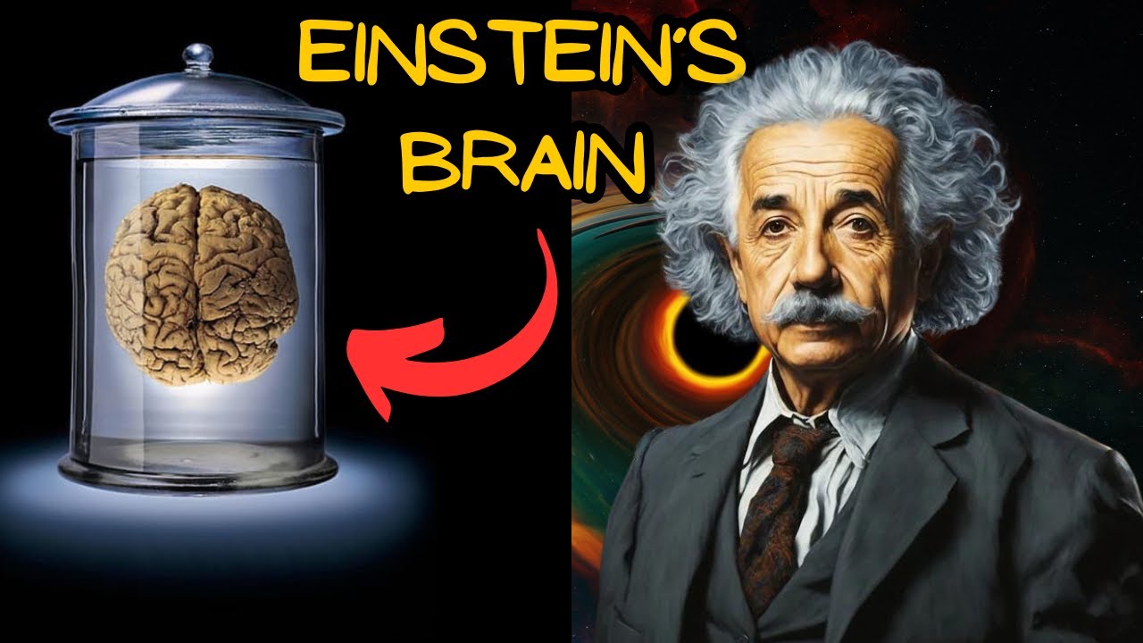 "The Mystery of Einstein's Brain: Where Is It Now?" - YouTube