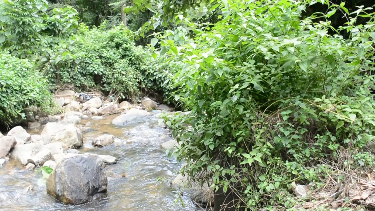 Kundaru Falls Journey Part 4 - Tirunelveli - YouTube