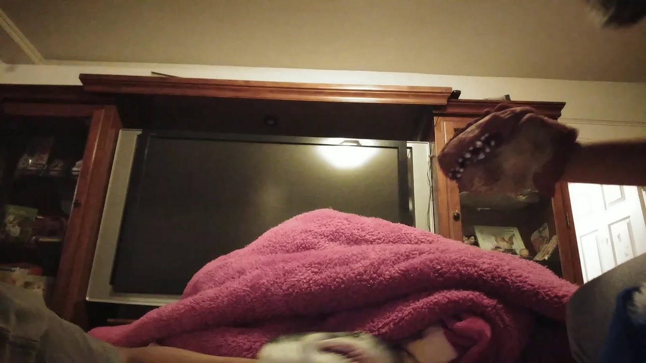 Sleep puppet - YouTube