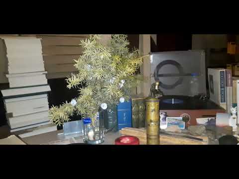 Susma- Zeki Müren 33'lük plak