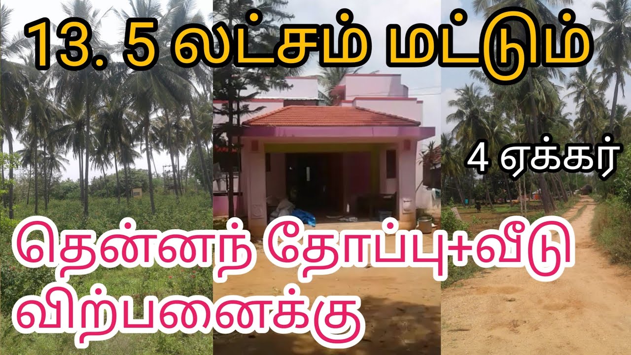 Agriculture land for sale in Tamilnadu in dindigul natham near/ 4 acres ...