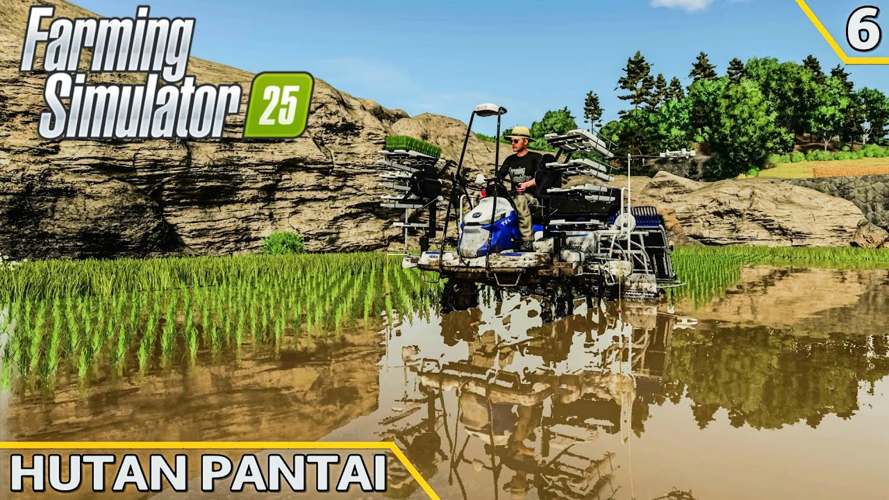 Flooding the fields and transplanting RICE | HUTAN PANTAI | Farming ...