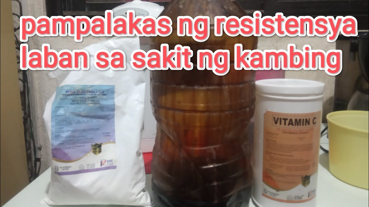 inumin para sa aking mga kambing (raw video) - YouTube