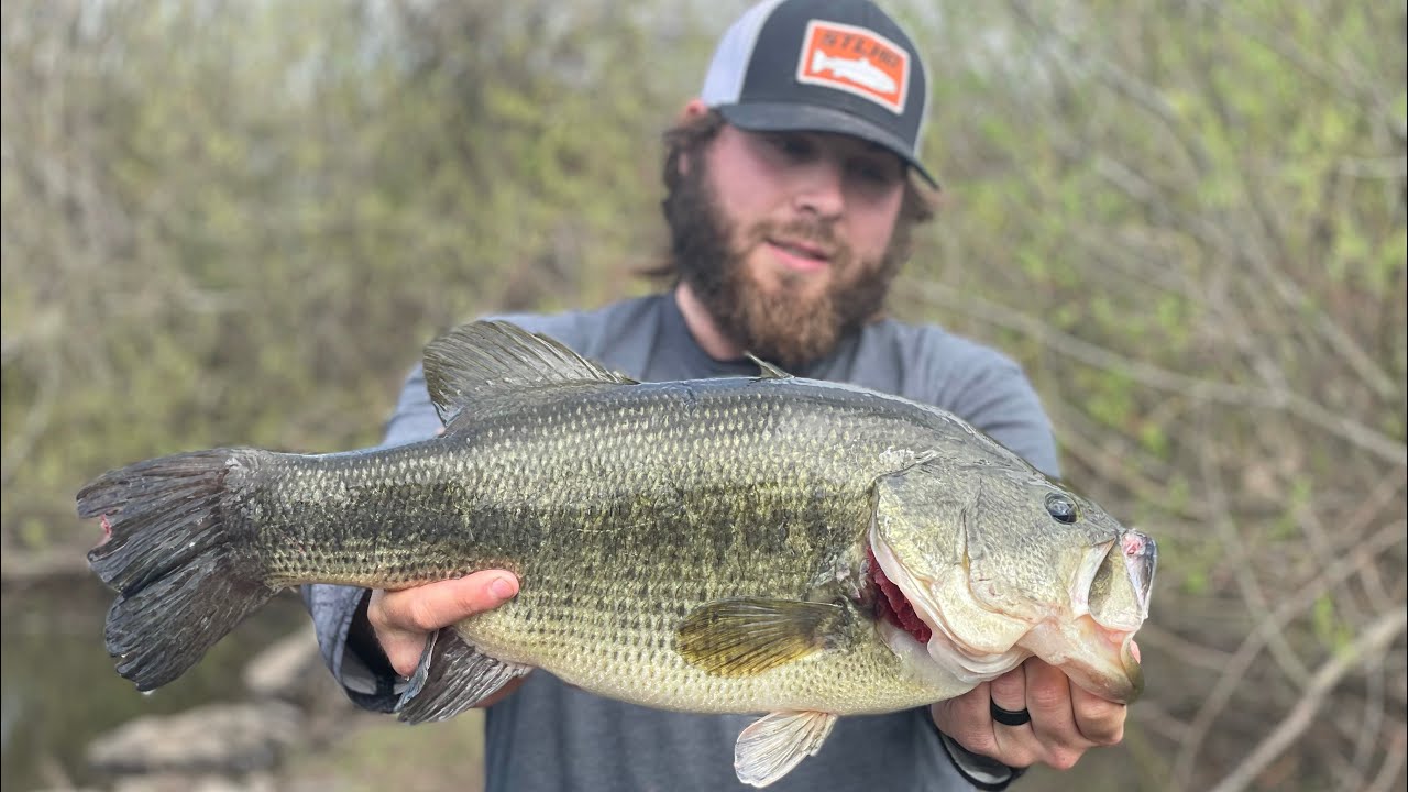 GIANT pre-spawn BASS CAUGHT (insane action) - YouTube