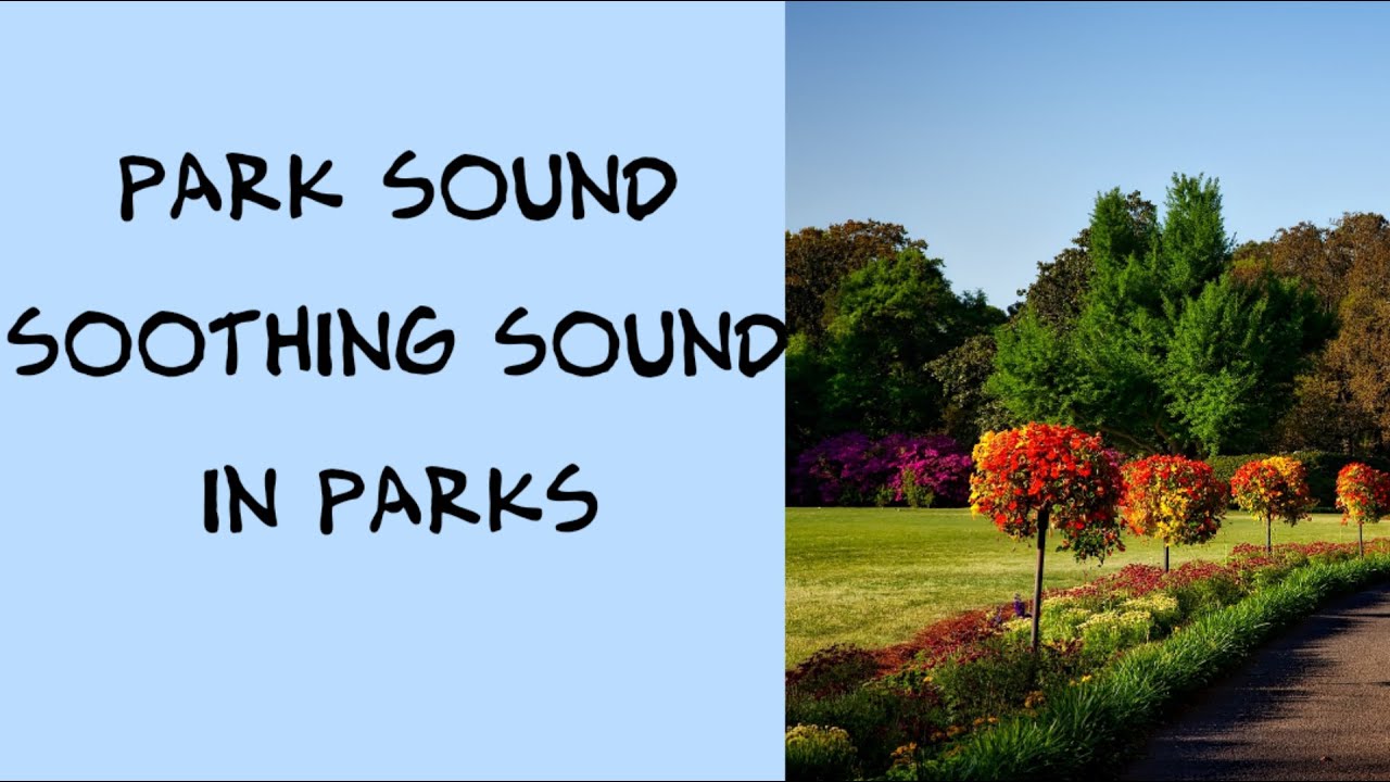 Park sound: Soothing sound in parks with bushes, trees and birds - YouTube