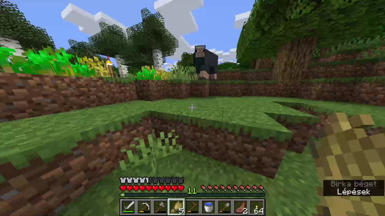 Minecraft survival 4.rész(bányászat,állatok - YouTube