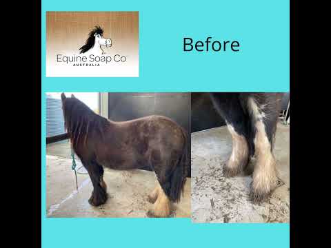 Equine Soap Co. Coconut & Sulfur Soap - YouTube