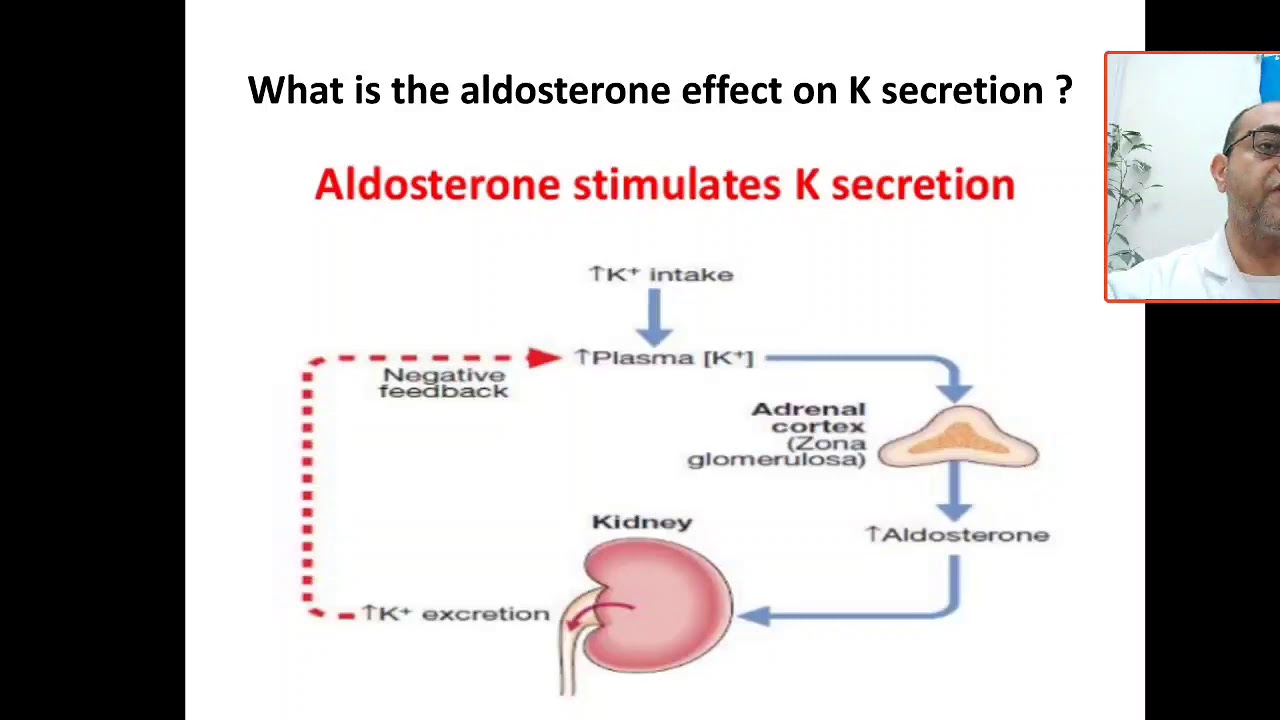 what's the aldosterone effect on blood volume,blood pressure&potassium ...