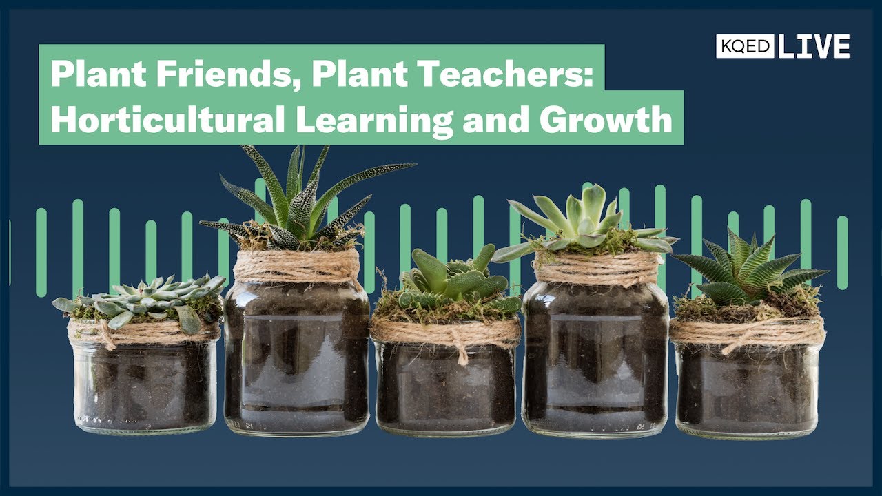 Plant Friends, Plant Teachers: Horticultural Learning and Growth - YouTube