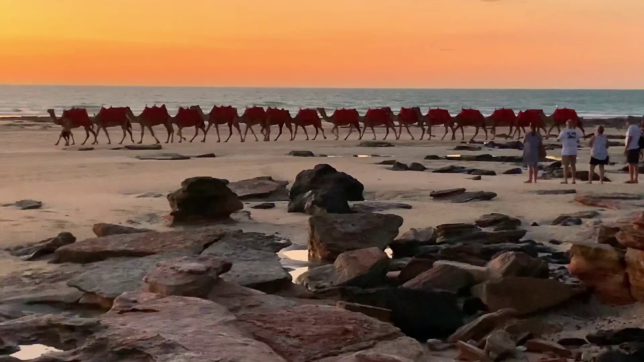 Things to do in BROOME, Western Australia. Camel Rides on Cable Beach ...