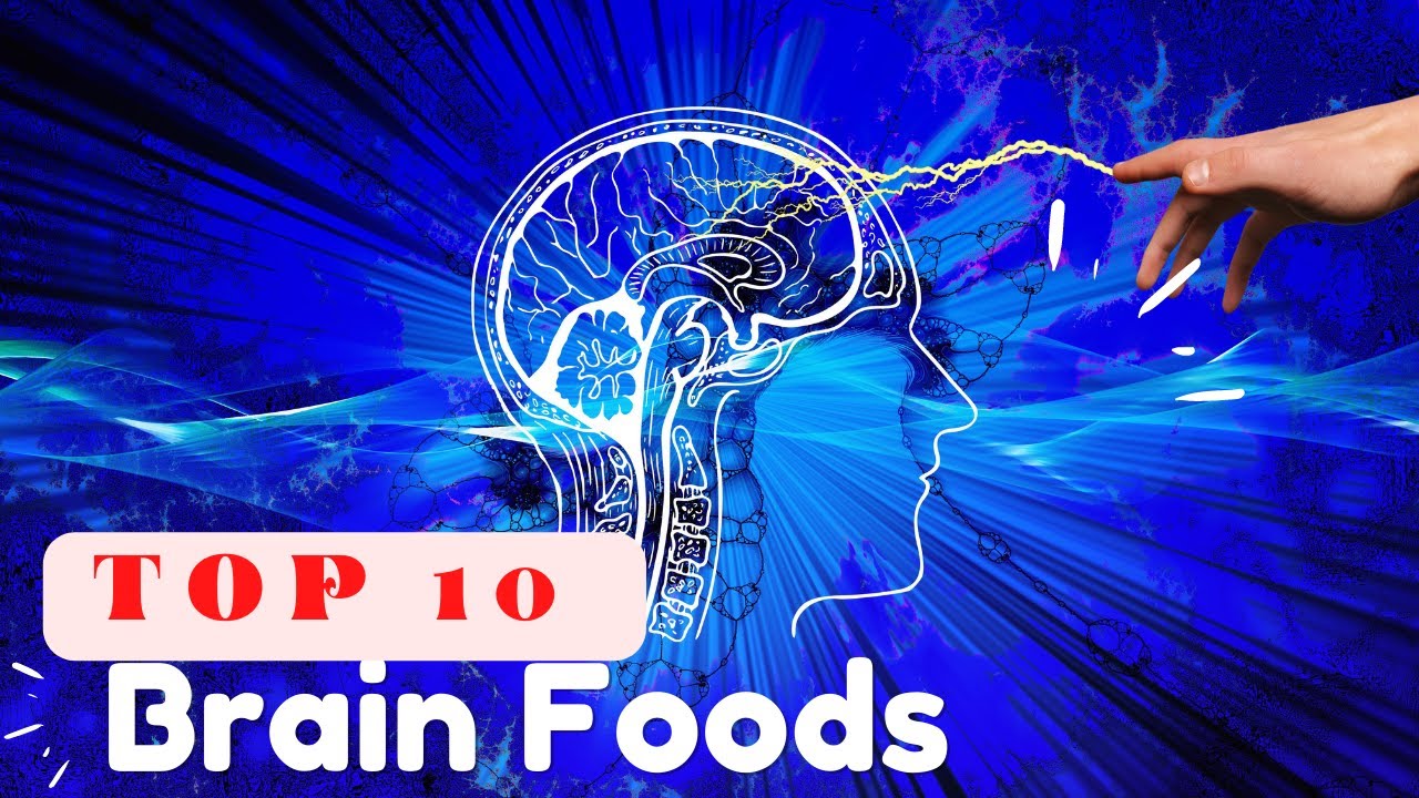 Top 10 Brain Foods That Help Increase Your Memory - YouTube