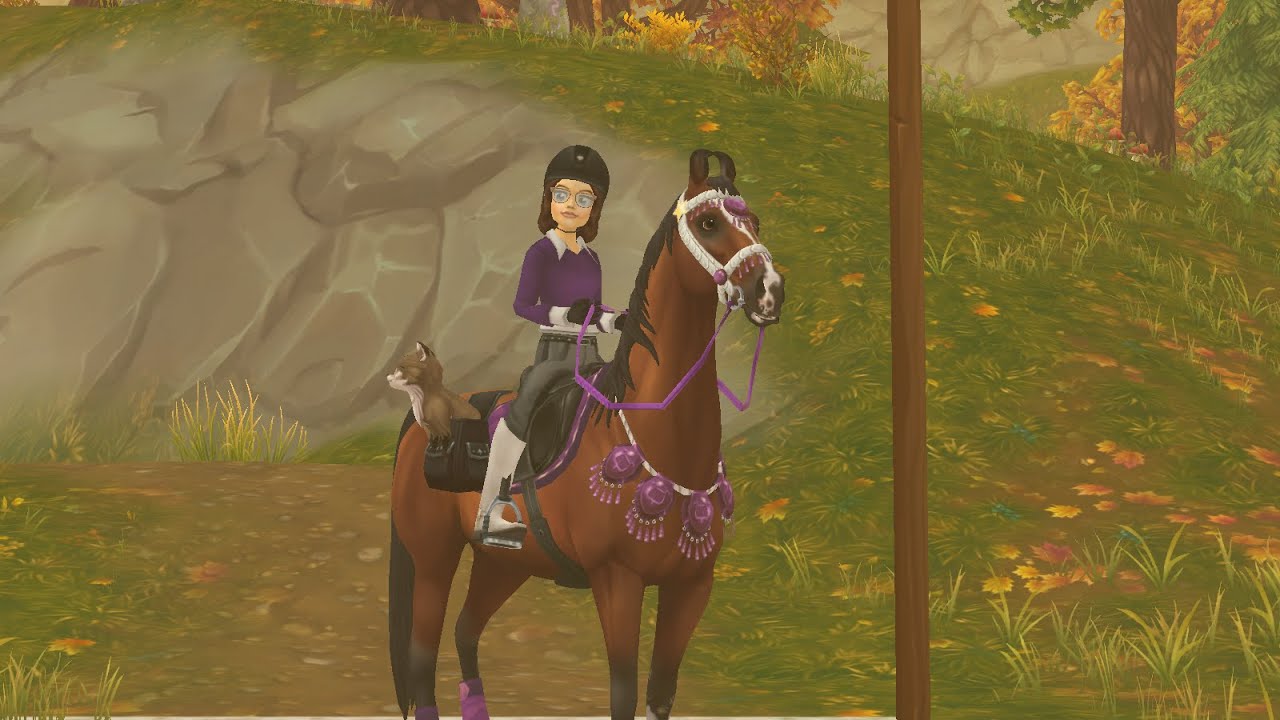 Checking out the new Marwari horses (and buying some) || SSO - YouTube