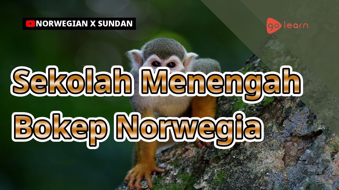 Sekolah Menengah Bokep Norwegia | Golearn - YouTube