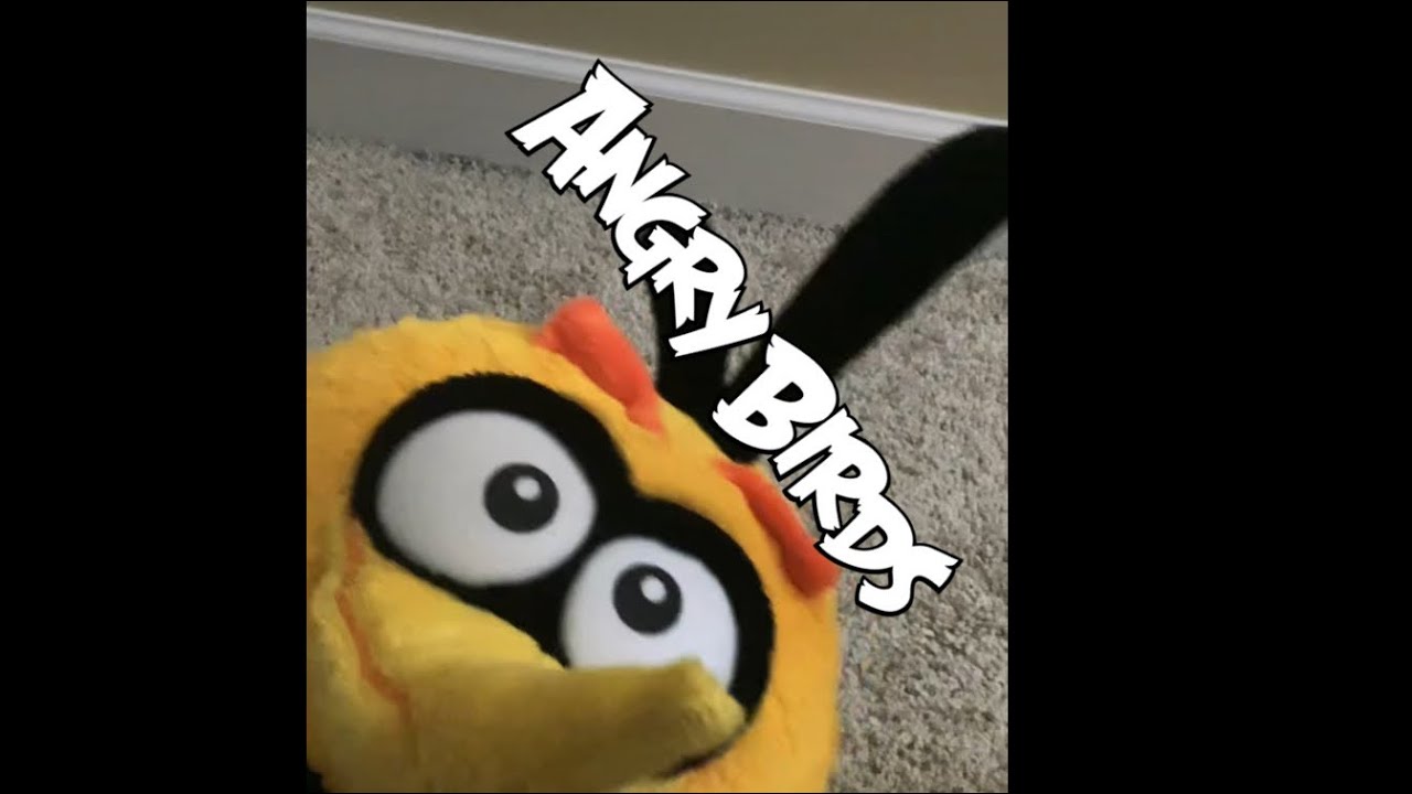 Rare TCC angry birds plush Bubbles #shorts # angrybirds - YouTube