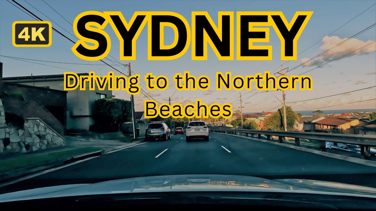 St Ives to Brookvale (Northern Beaches) Drive || 4k Driving Tour ...