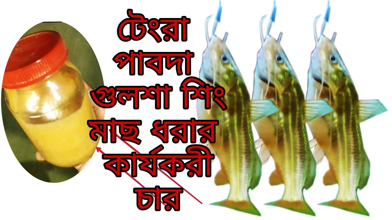 Tengra macher Char, All catfish Bait. - YouTube