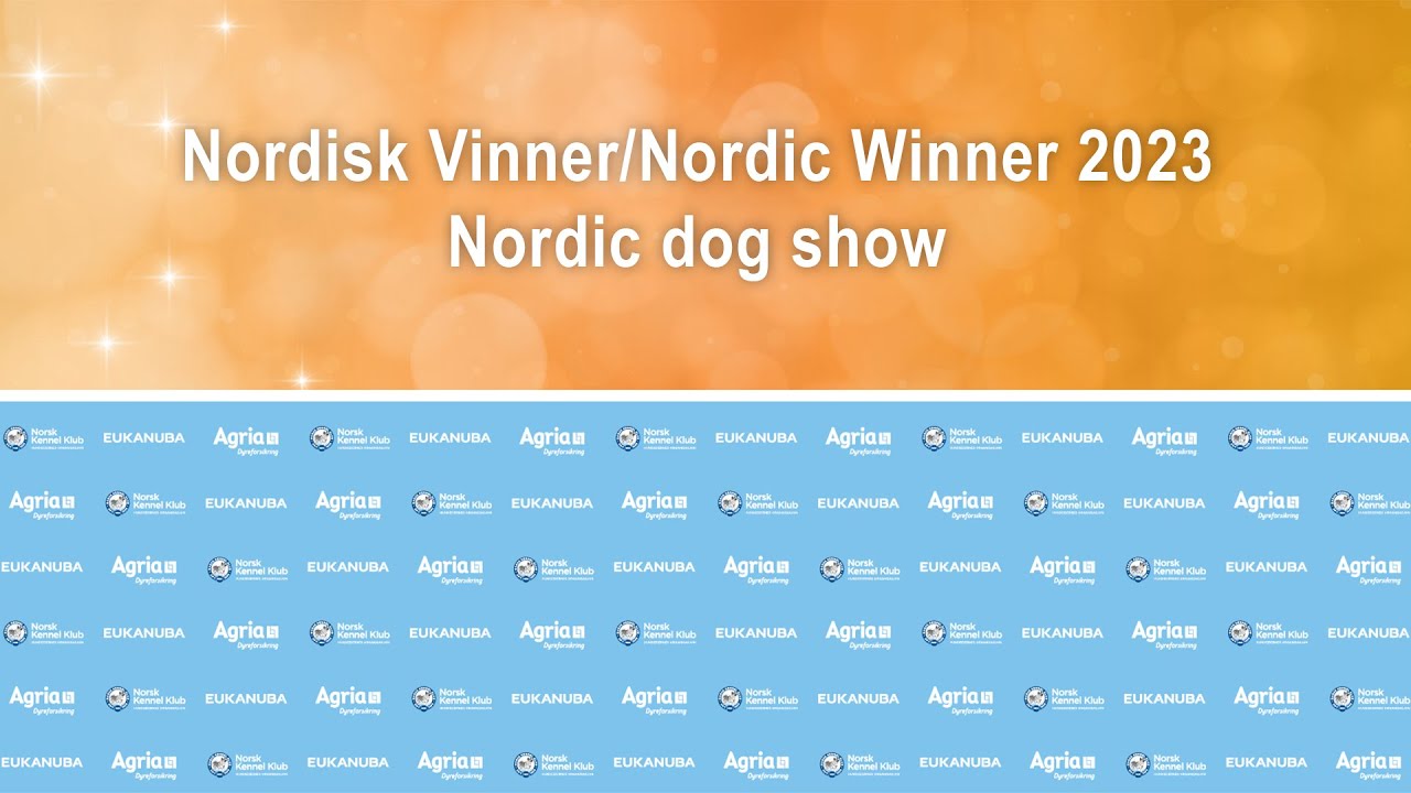 Nordisk Vinner/Nordic Winner 2023, Nordic dog show - YouTube