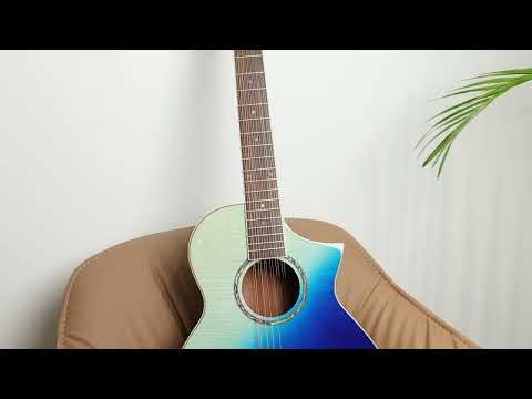 Aileen Music 12 strings acoustic guitar (AF196LC-12)