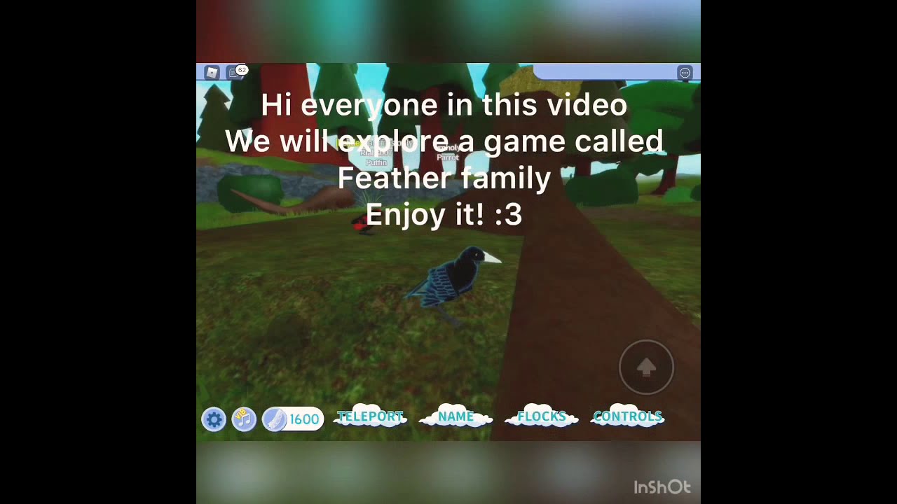 Let’s explore Feather Family(bird game) - YouTube