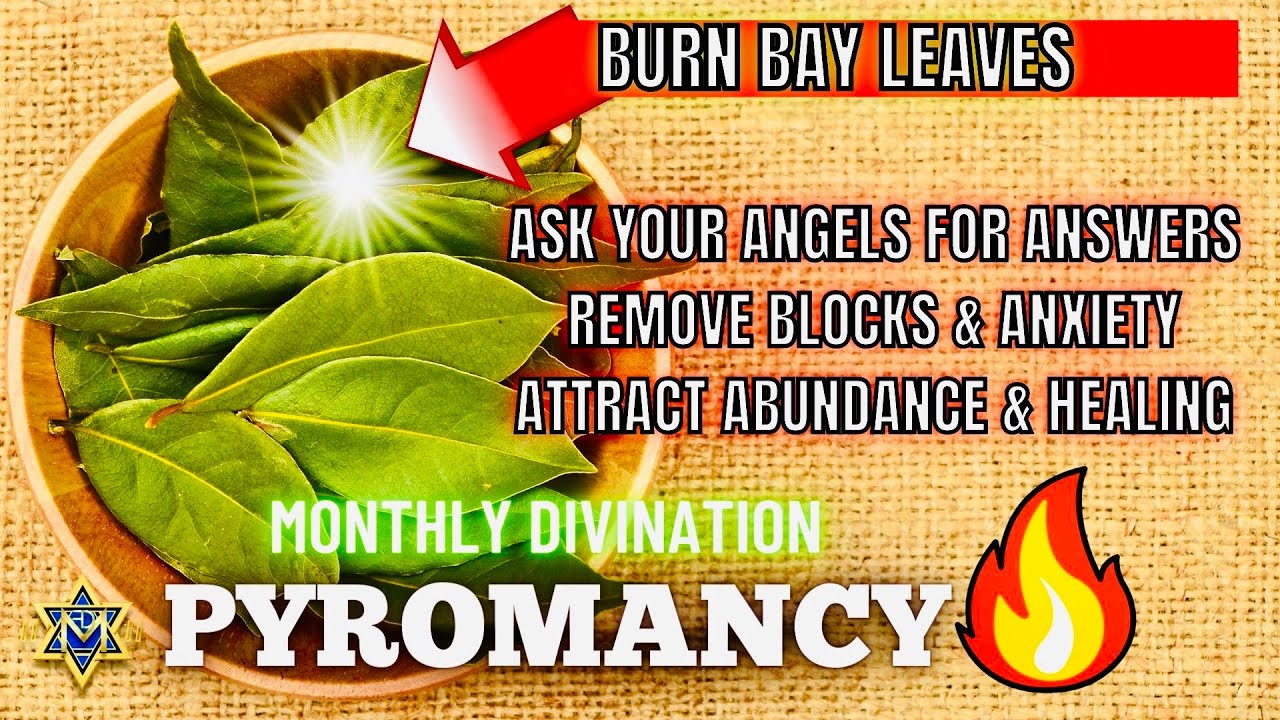 Bay leaf🍃 🔥 | Monthly #divination #Pyromancy #easyfiremagic # ...