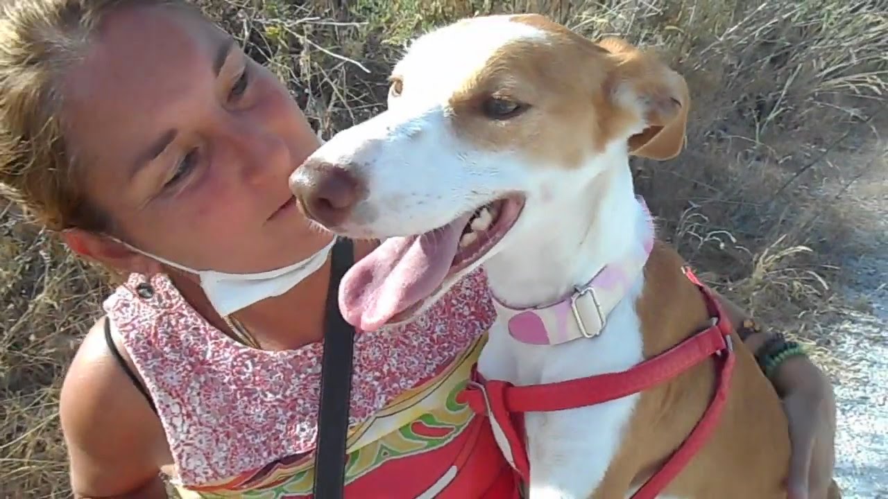 zabou en hope mee op wandeling - YouTube