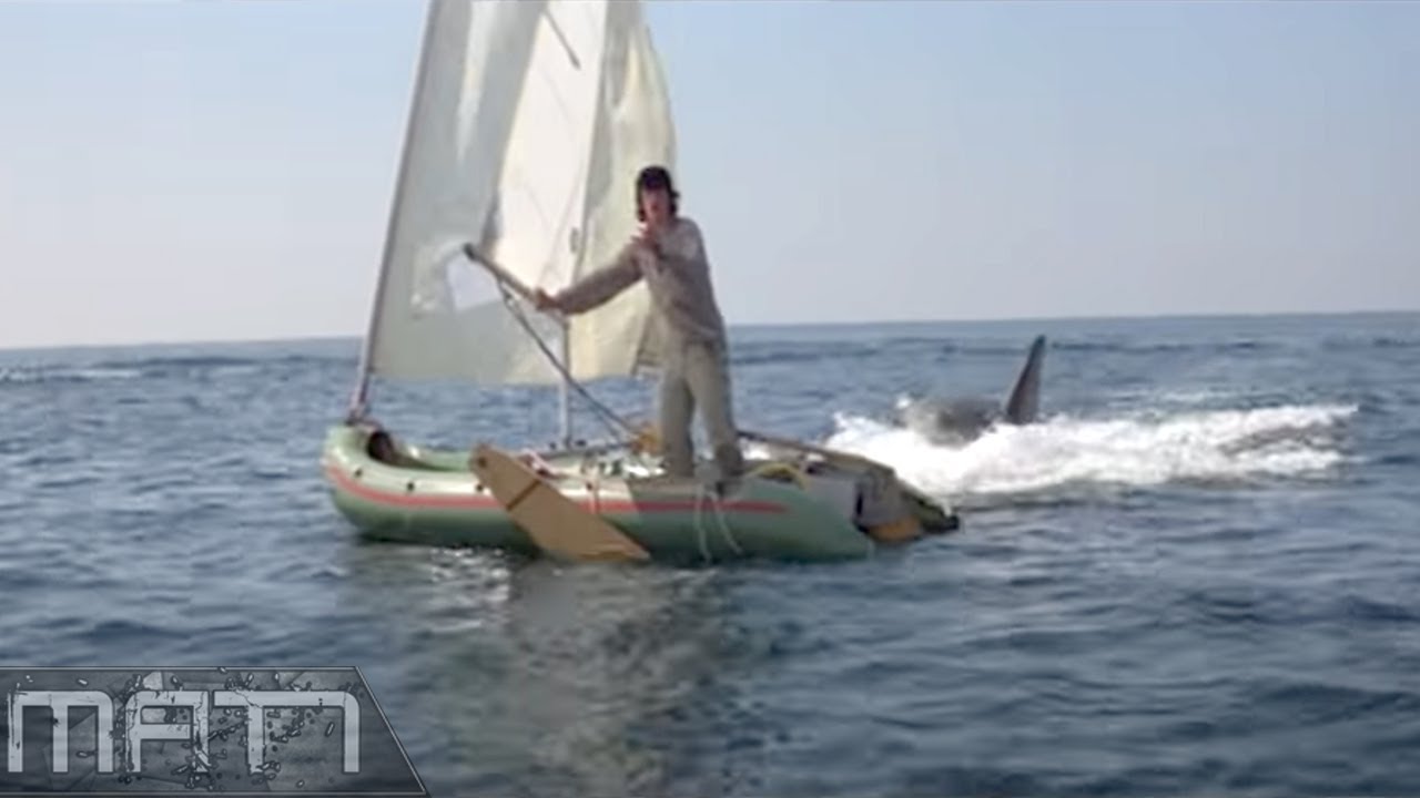 7 SCARIEST SHARK ENCOUNTERS CAUGHT ON CAMERA - Terrifying close calls ...
