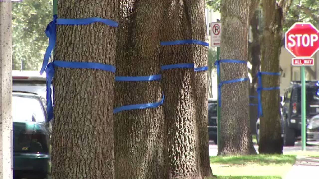 Blue ribbons line street in Celebration in honor of Kissimmee officers ...