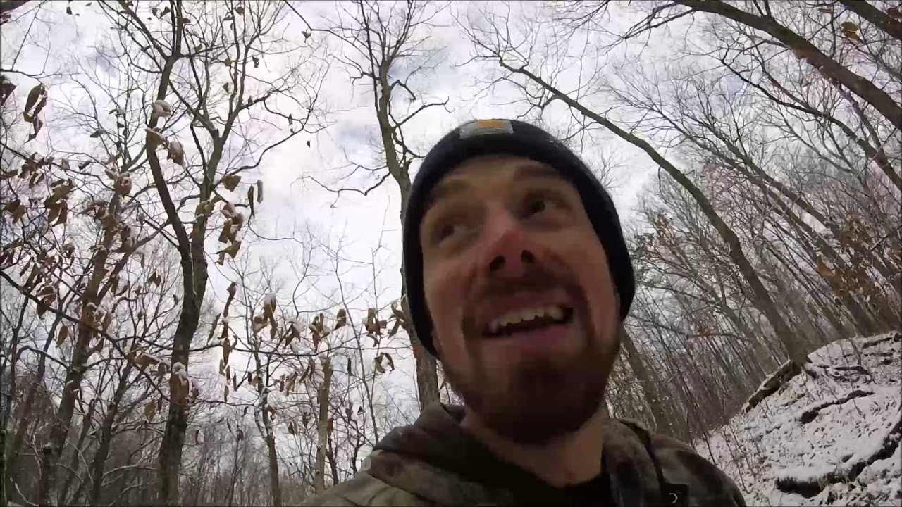 Coyote Hunting Savage 17 Hmr Claims Another Vermin YouTube coyote-hunting-savage-17-hmr-claims-another-vermin-youtube