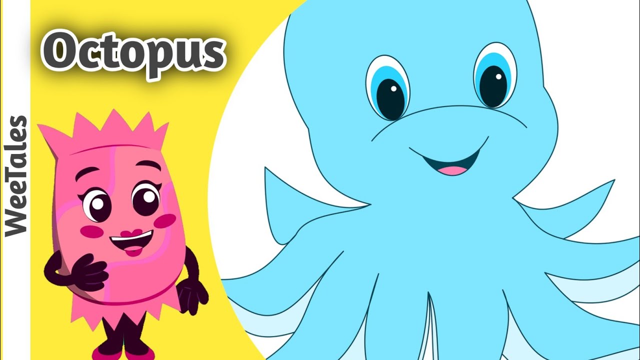 The Amazing Octopus Nature's Ocean Acrobat! - YouTube