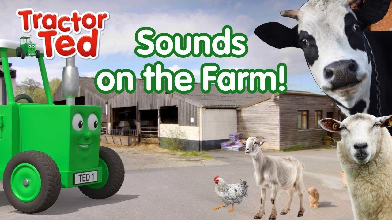Can You Guess The Sounds On The Farm With Tractor Ted? 🐄🚜👨🏼‍🌾🐴🐓 - YouTube