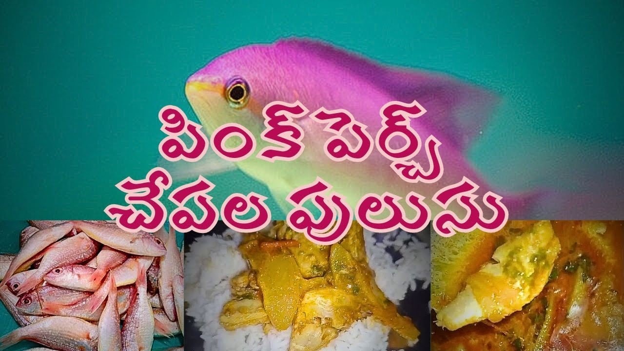 గులివిందల పులుసు| PINK PERCH FISH CURRY | Chakri Ghumaghumalu - YouTube